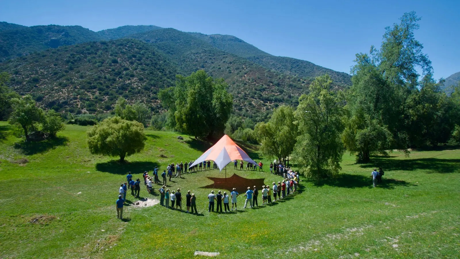 Educación – Vertical